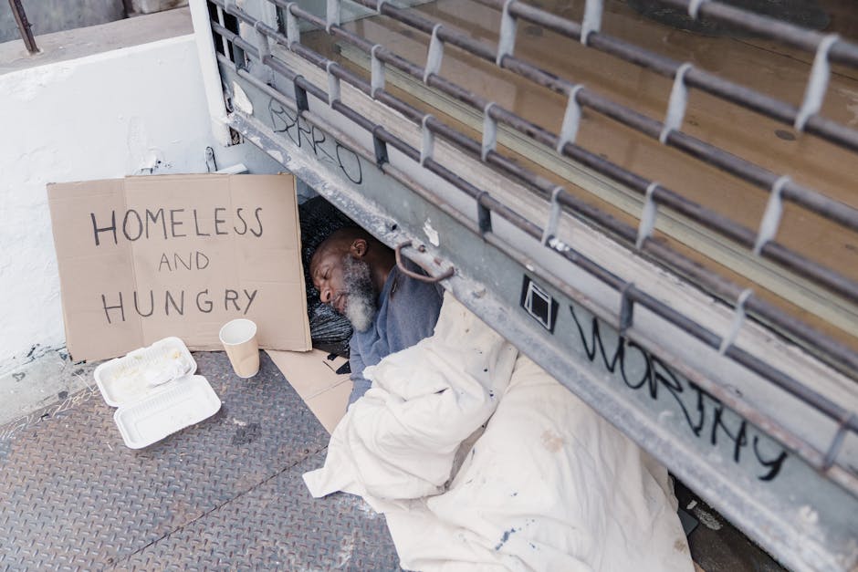 Can Humans Survive Without Shelter: Unveiling the Truth - Lifesavegear