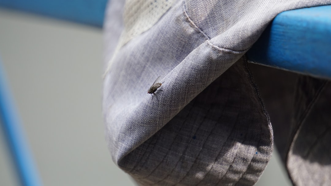 Can Ticks Survive on Clothes? Discover the Truth - Lifesavegear