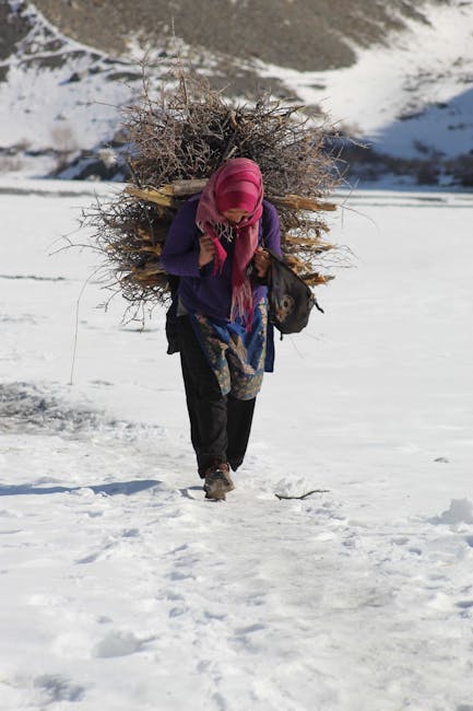 How Do Animals Survive Cold Weather: Nature's Resilience - Lifesavegear