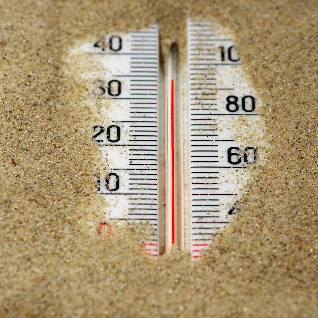 How Long Can You Survive in 20 Degree Weather: Essential Tips ...