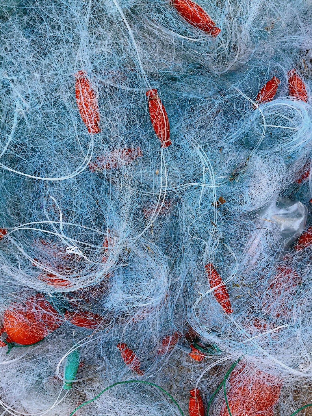 How Long Rabies Virus Survive on Clothes: Vital Insights - Lifesavegear