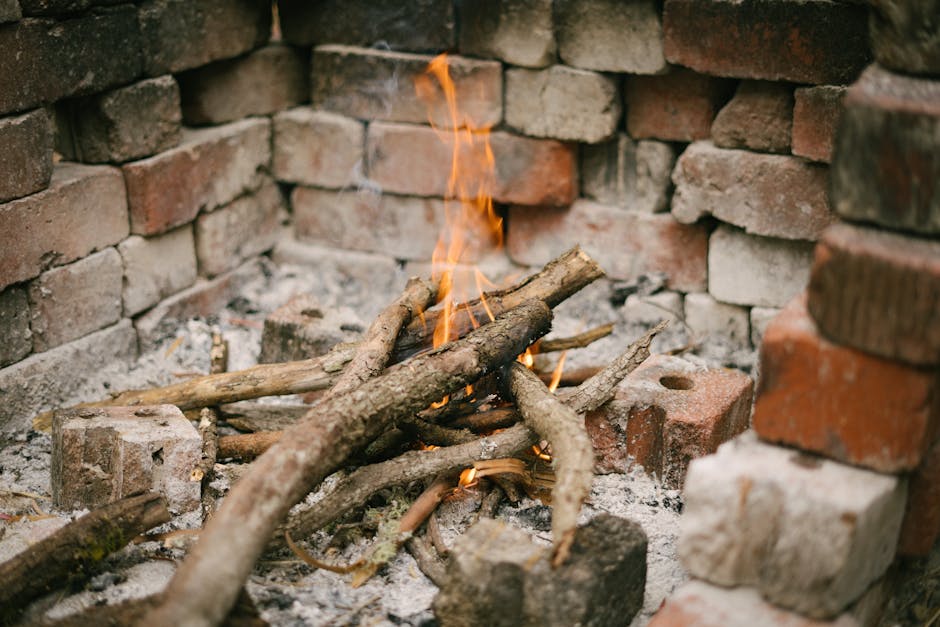 How to Build a Fireplace in a Survival Shelter: Essential Guide ...